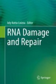 The Role of Ribonucleases in RNA Damage, Inactivation and Degradation ...