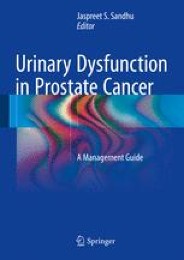 Post-prostatectomy Incontinence Initial Evaluation | SpringerLink