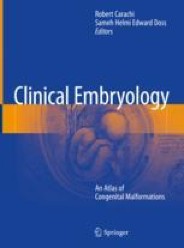 Clinical Embryology | SpringerLink