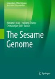 Botanical Descriptions of Sesame | SpringerLink