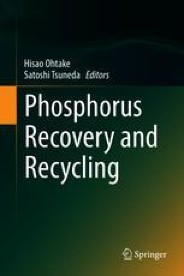 Bone Char As a Novel Phosphorus Fertilizer | SpringerLink