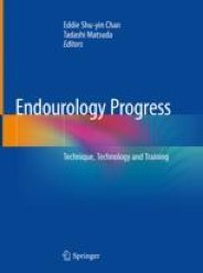 Endourology Progress | SpringerLink