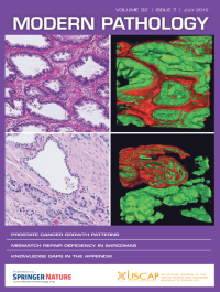 Volume 32 | Modern Pathology