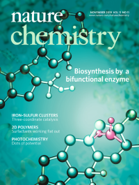 Volume 11 | Nature Chemistry