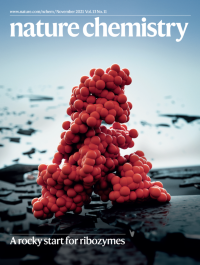 Volume 13 | Nature Chemistry