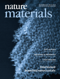 Volume 10 | Nature Materials
