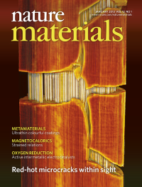 Volume 12 | Nature Materials