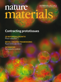 Volume 17 | Nature Materials
