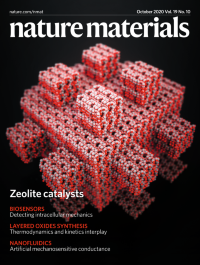 Volume 19 | Nature Materials