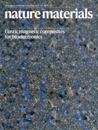 Volume 20 | Nature Materials