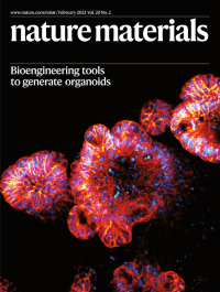 Volume 20 | Nature Materials