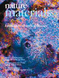 Volume 6 | Nature Materials