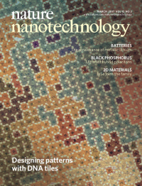 Volume 12 | Nature Nanotechnology