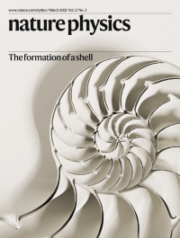 Volume 17 | Nature Physics