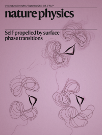 Volume 17 | Nature Physics