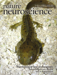 Volume 12 | Nature Neuroscience