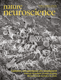 Volume 13 | Nature Neuroscience