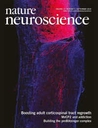 Volume 13 | Nature Neuroscience