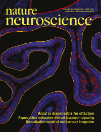 Volume 14 | Nature Neuroscience