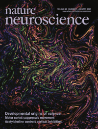 Volume 20 | Nature Neuroscience