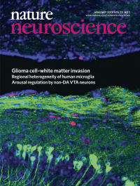 Volume 22 | Nature Neuroscience