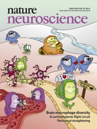 Volume 22 | Nature Neuroscience