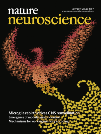 Volume 22 | Nature Neuroscience