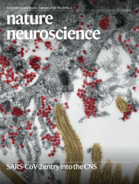 Volume 24 | Nature Neuroscience