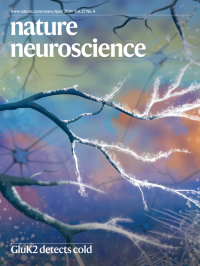 Volume 27 | Nature Neuroscience