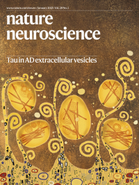 Volume 28 | Nature Neuroscience