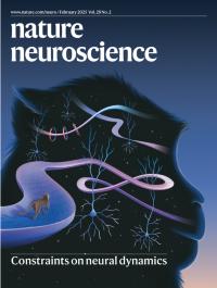 Volume 28 | Nature Neuroscience