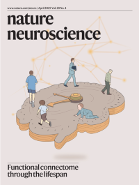 Volume 28 | Nature Neuroscience