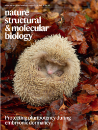 Volume 31 | Nature Structural & Molecular Biology