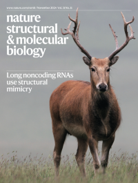 Volume 31 | Nature Structural & Molecular Biology