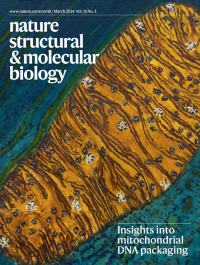 Volume 31 | Nature Structural & Molecular Biology