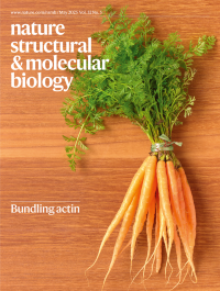 Volume 32 | Nature Structural & Molecular Biology