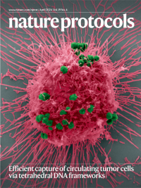 Volume 19 | Nature Protocols
