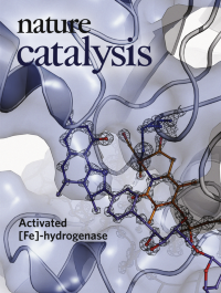 Volume 2 | Nature Catalysis