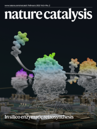 Volume 4 | Nature Catalysis