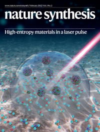 Volume 1 | Nature Synthesis