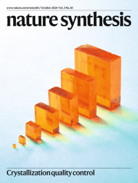 Volume 3 | Nature Synthesis