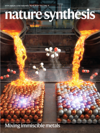 Volume 3 | Nature Synthesis