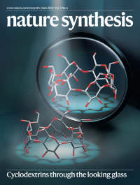 Volume 3 | Nature Synthesis