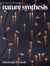 Volume 4 | Nature Synthesis