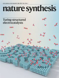 Volume 4 | Nature Synthesis