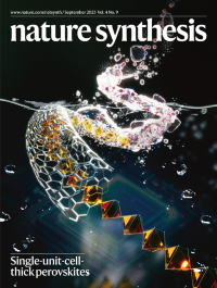 Volume 4 | Nature Synthesis