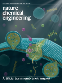 Volume 1 | Nature Chemical Engineering