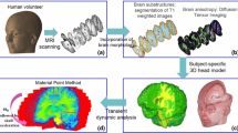 Explanatory completeness and idealization in large brain simulations: a ...