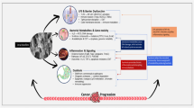 Understanding the potential of probiotics in oral cancer prevention: a ...
