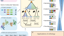 Understanding Functional Evolution in Orthologs and Paralogs | Journal ...